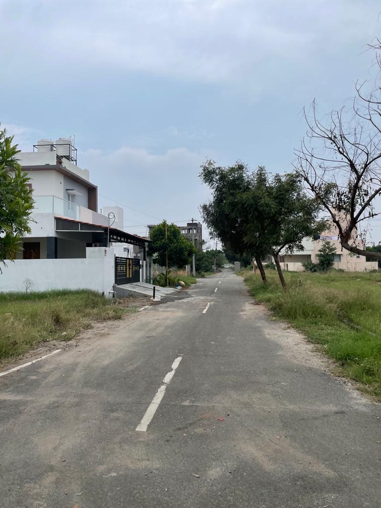 Emerald City - 1000 Properties