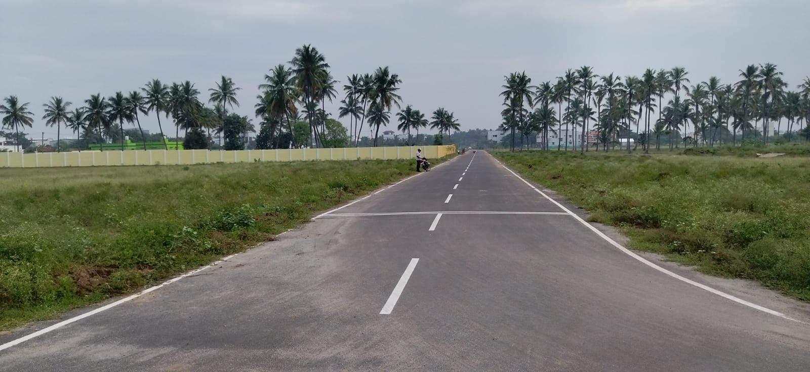 Platina - 1000 Properties