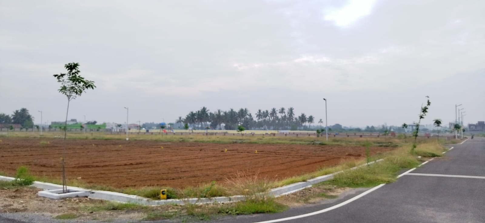 Platina - 1000 Properties